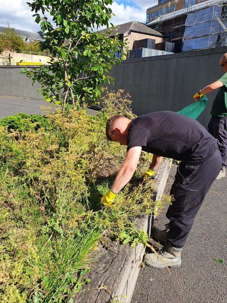Apprentices Tidy North East Futures UTC Courtyard - MGL Group