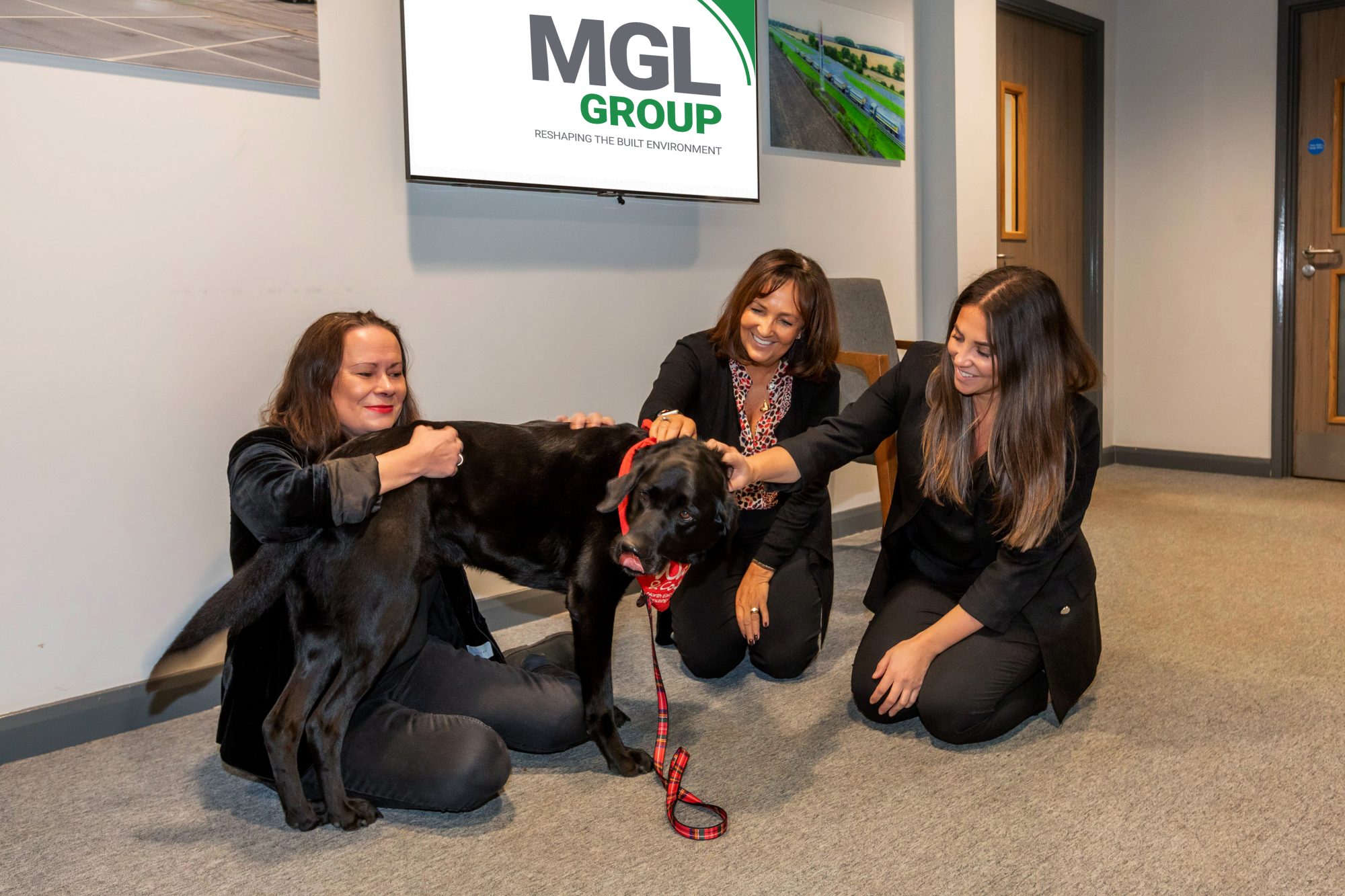 Supporting the elderly: The Wag & Co way - MGL Group